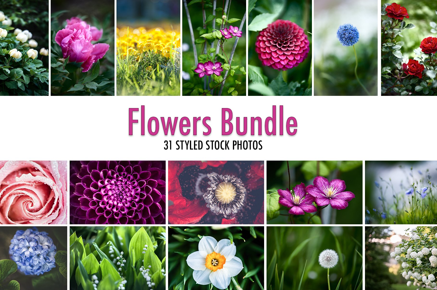 Flowers Bundle 31JPG