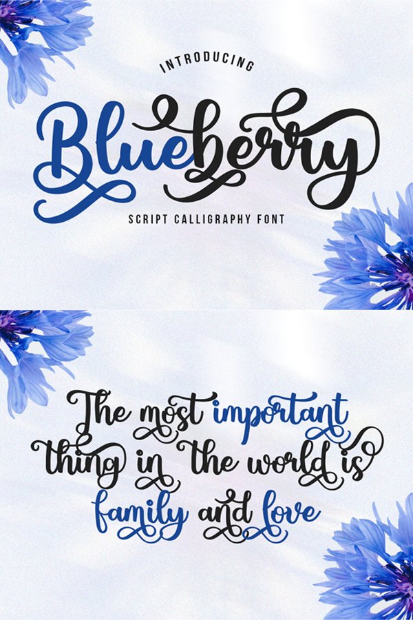 Blueberry Script Calligrahpy Font with Beautiful Alternate