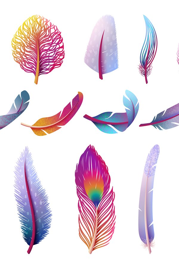Isolated feather collection. Colorful fantasy feathers, peac