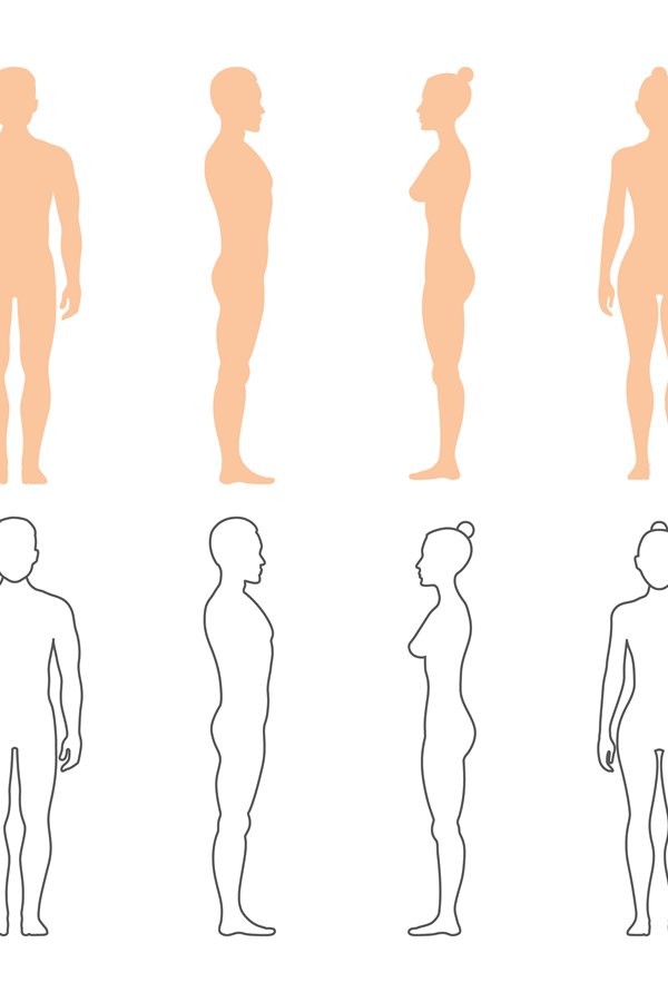 Male and female human vector silhouettes