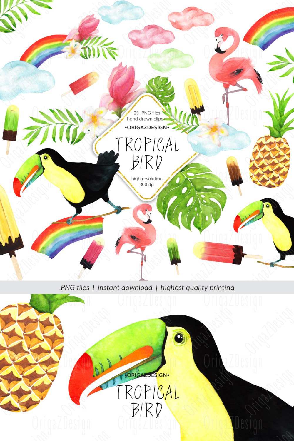 Tropical Bird Clipart, Watercolor Flowers toucan Flamingo