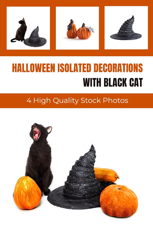Halloween decorations bundle with black cat and witch hat