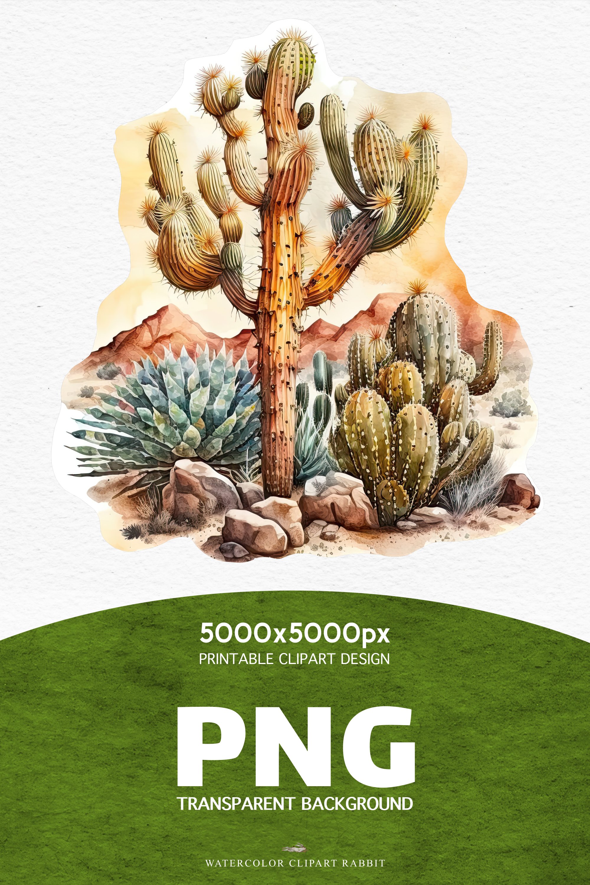 Desert Cactus Succulent Flowers Floral Clipart PNG Scrapbook