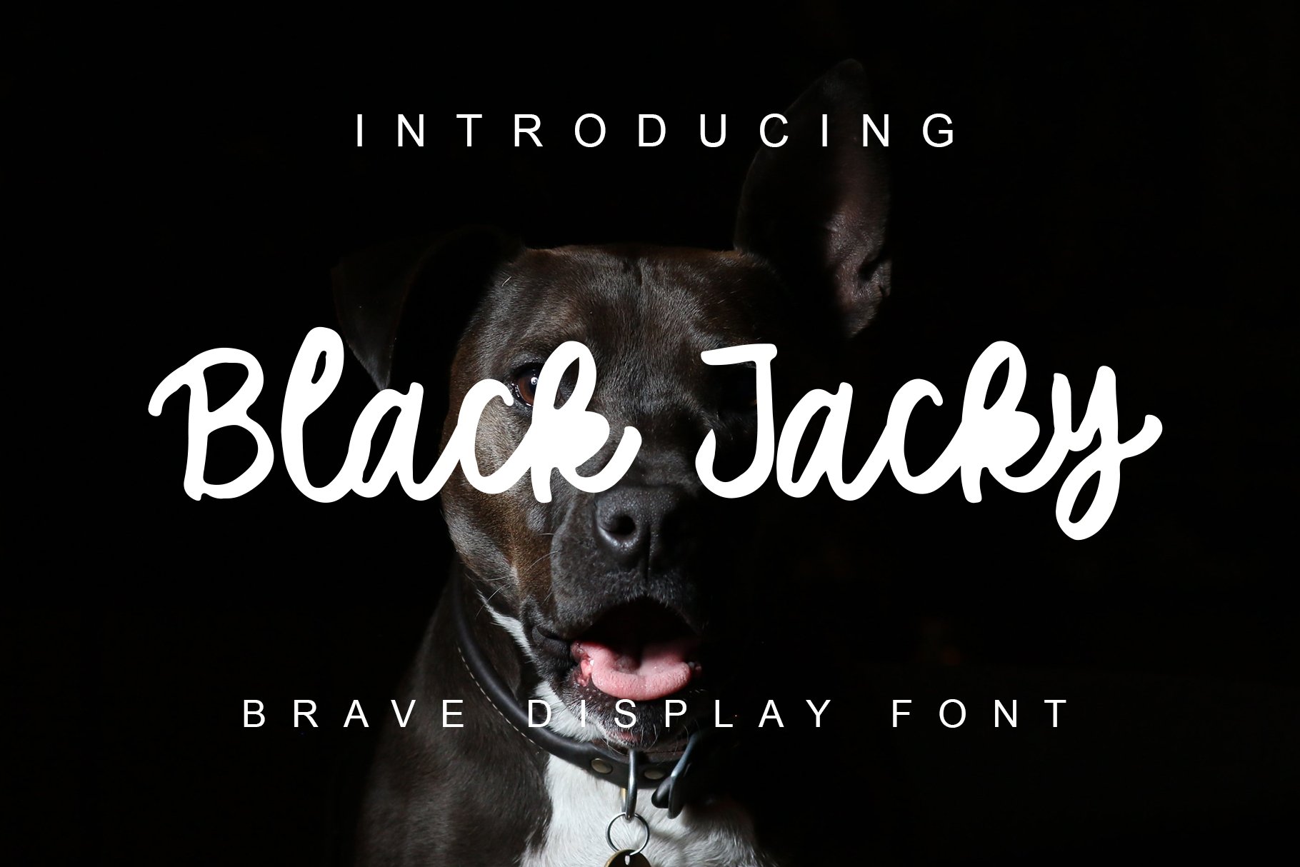 Black Jacky Cute Display Font