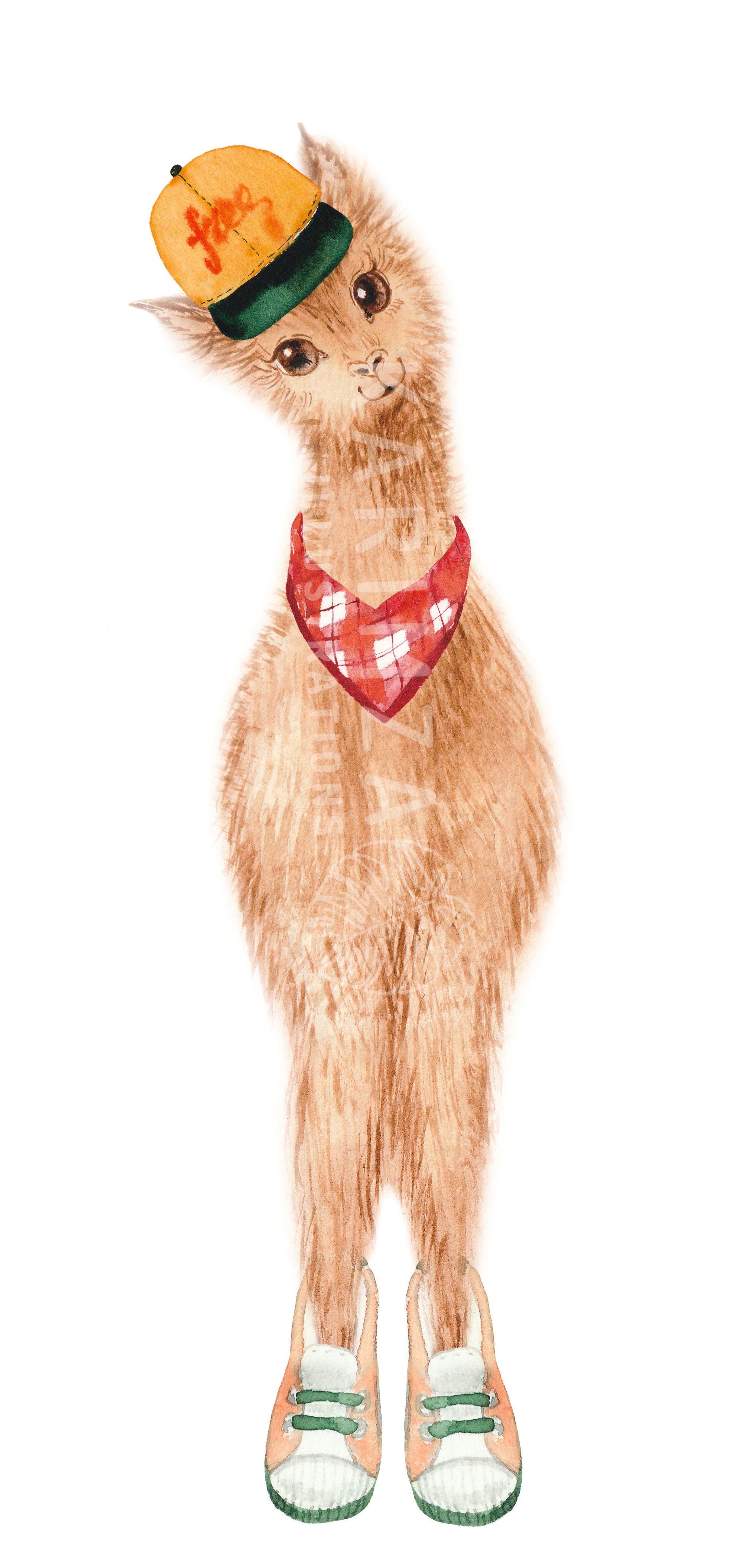 Alpaca clipart, Cute Baby Llama clip art Watercolor