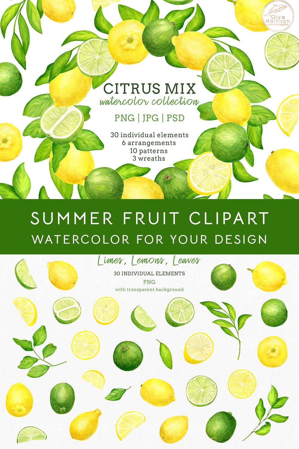 Citrus Fruits Clipart. Watercolor Limes and Lemons PNG