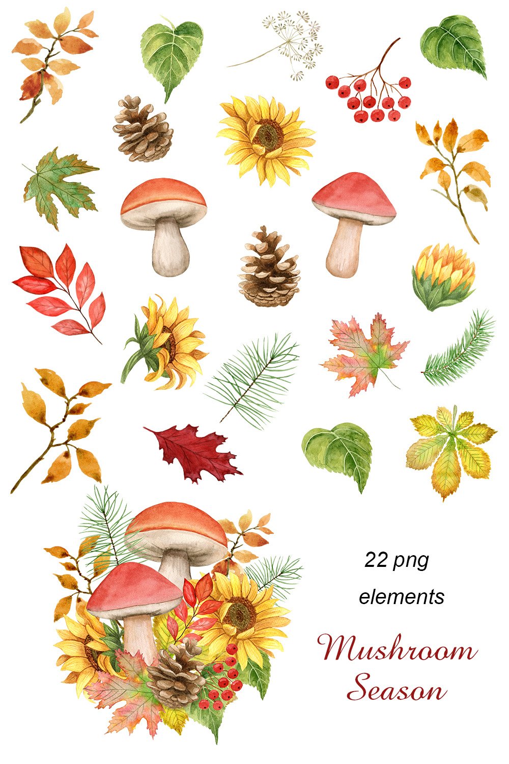Mushrooms Sunflowers Autumn leaves Watercolor clipart png