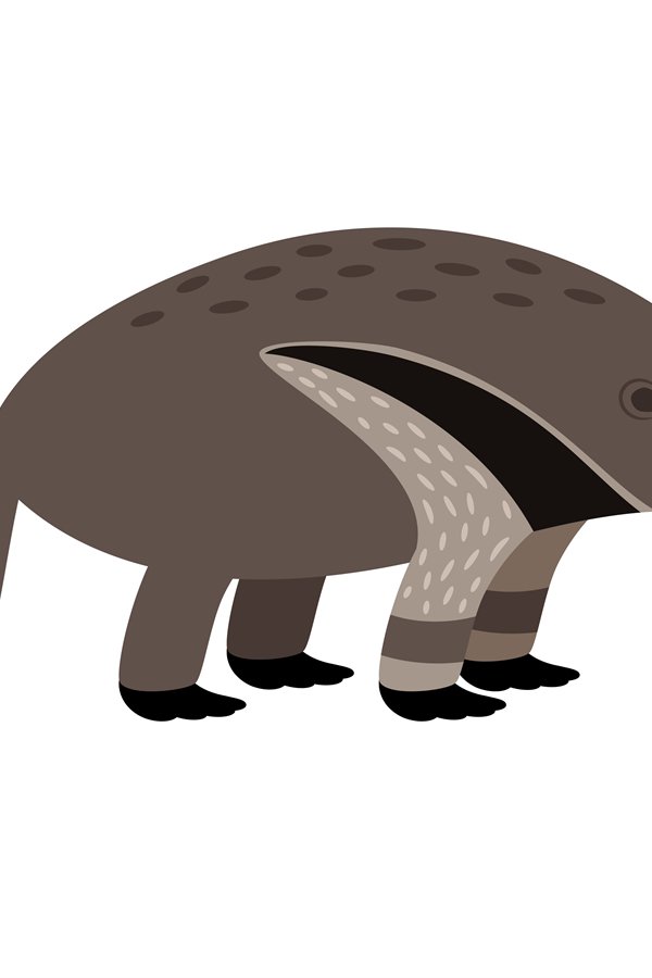 Ant-eater cartoon animal icon