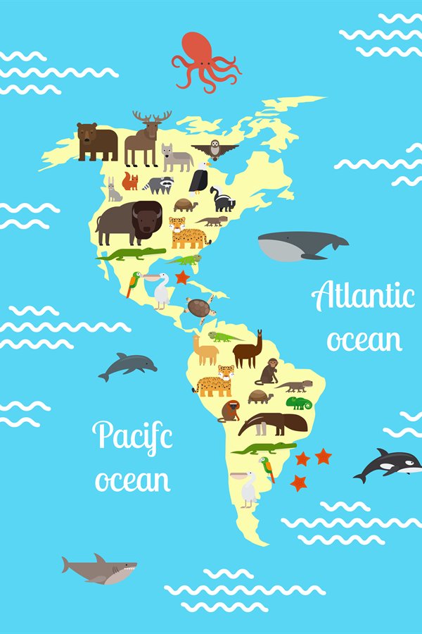 America animals world map for children