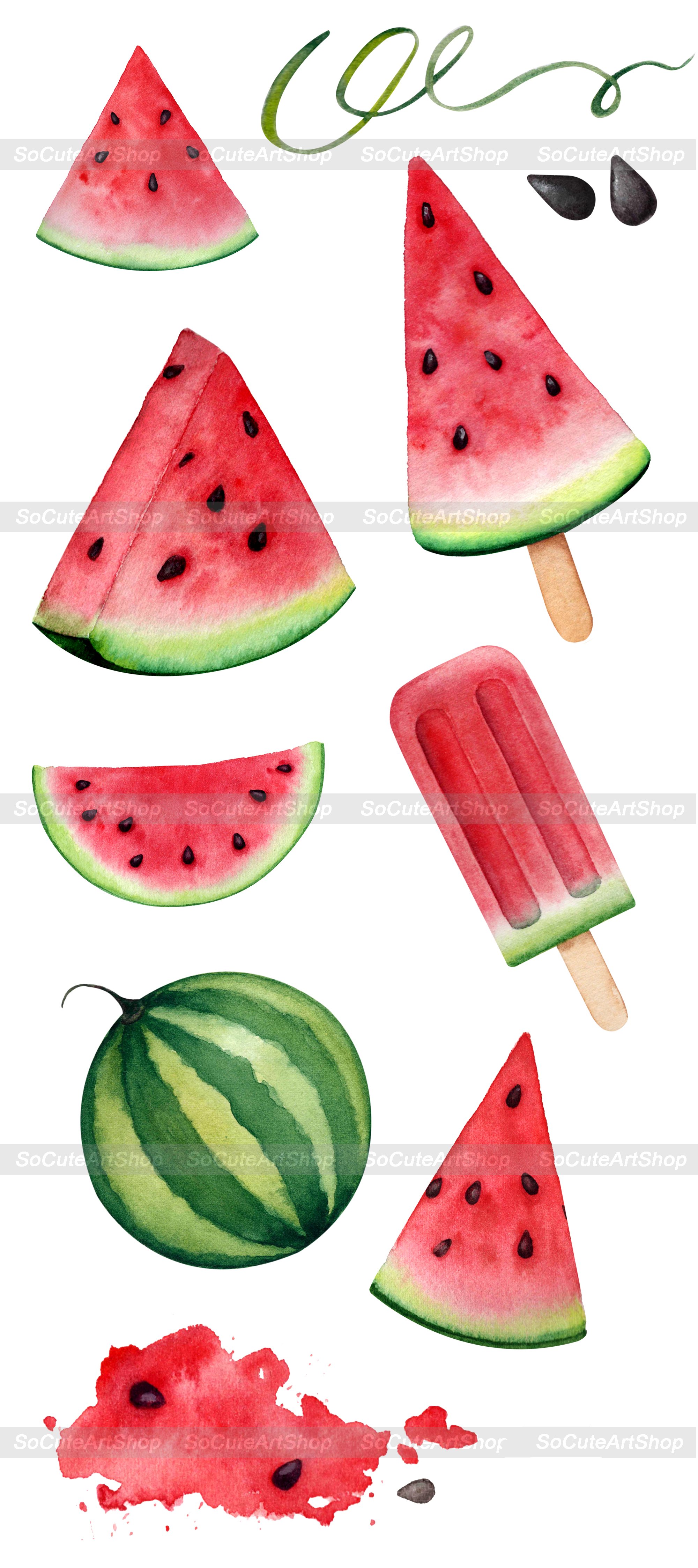 Watercolor Watermelon Clipart Set, PNG files, Summer fruit