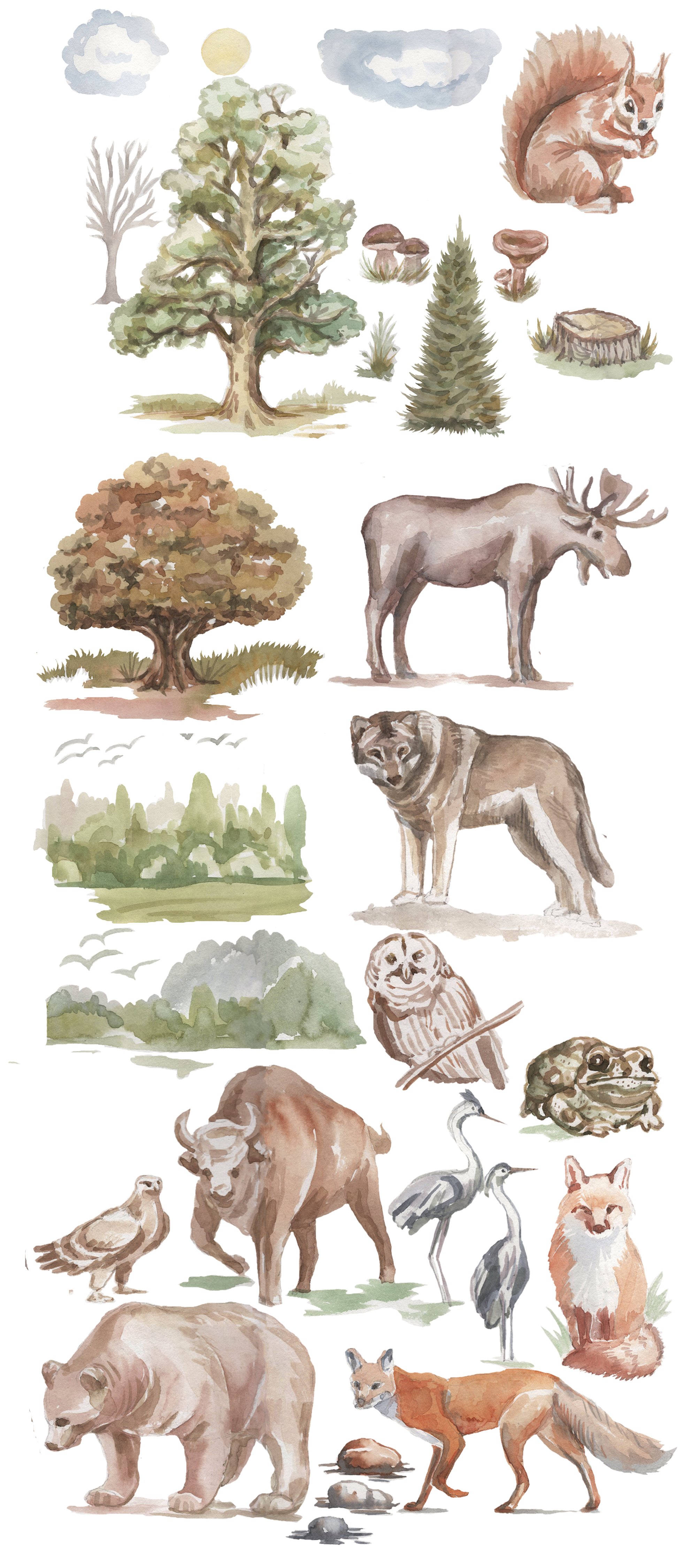 Forest animals (2464160)