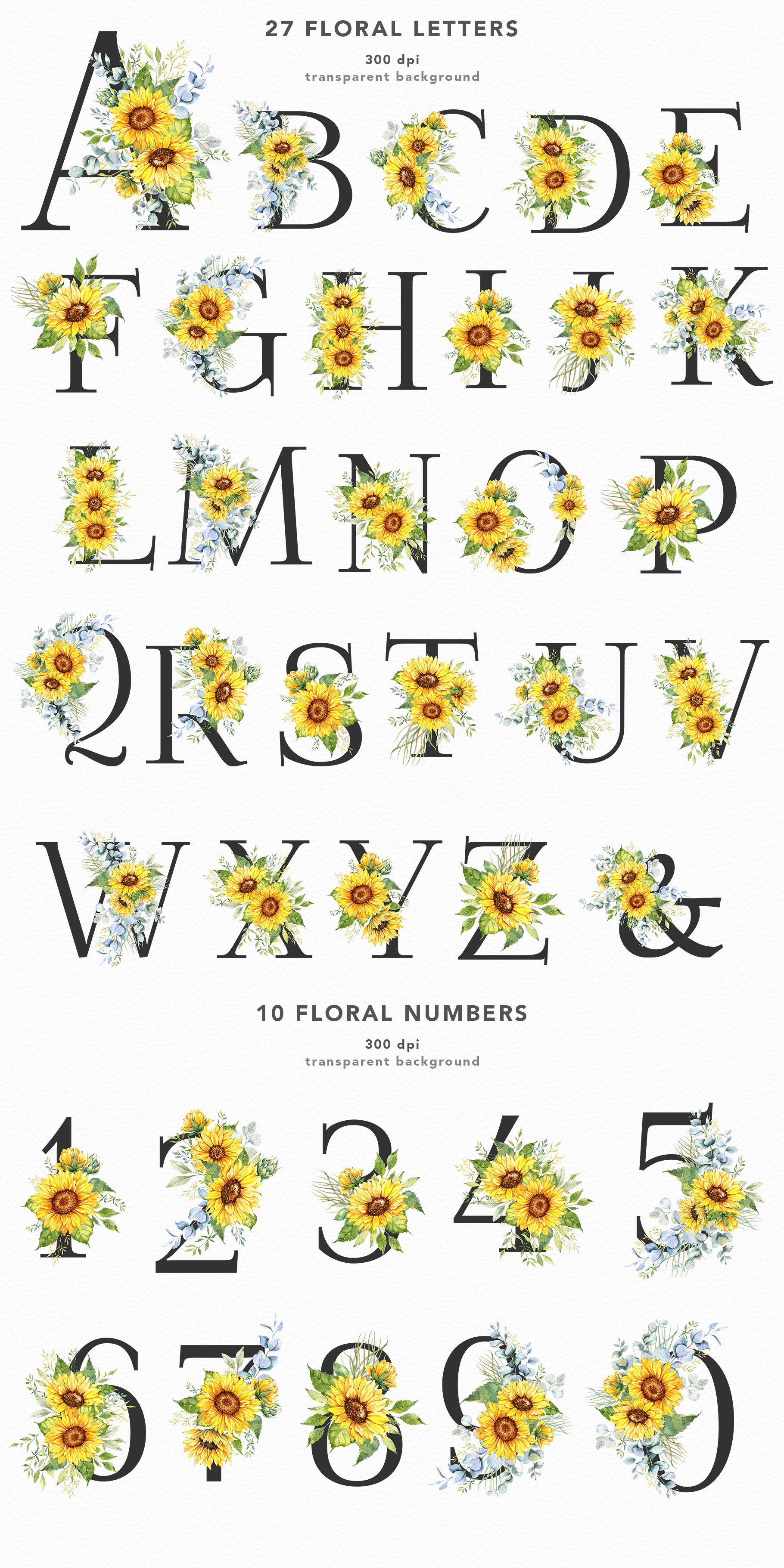Sunflower Letters, Sunflower Alphabet PNG, Floral (2430783)
