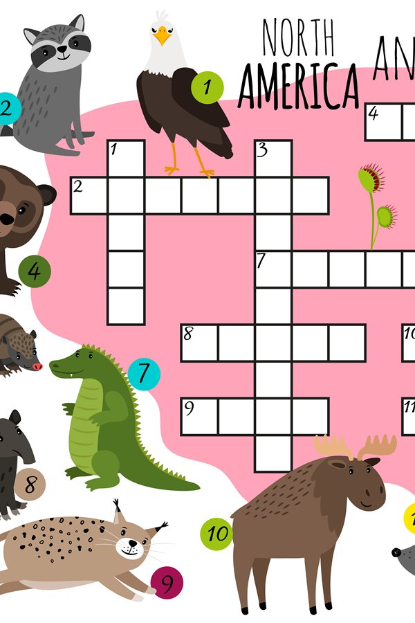 Cartoon north america animals kids crossword vector design