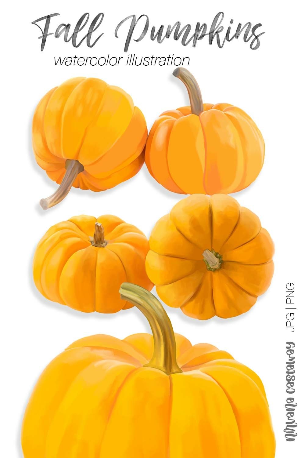 Download Fall Watercolor Pumpkin Illustrations now