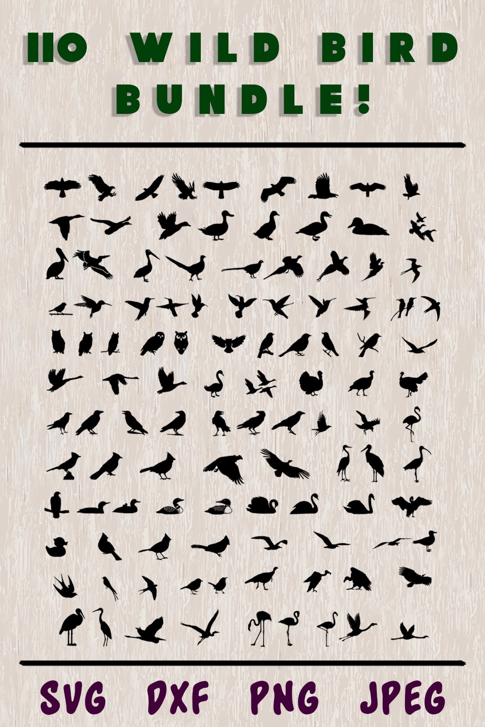 110 Wild Bird Svg Bundle, North American Birds Svg,SVG Bird,