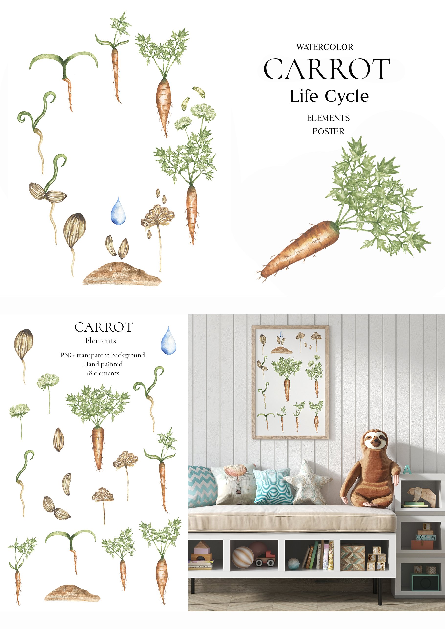 Watercolor Carrot Life Cycle Set Bundle