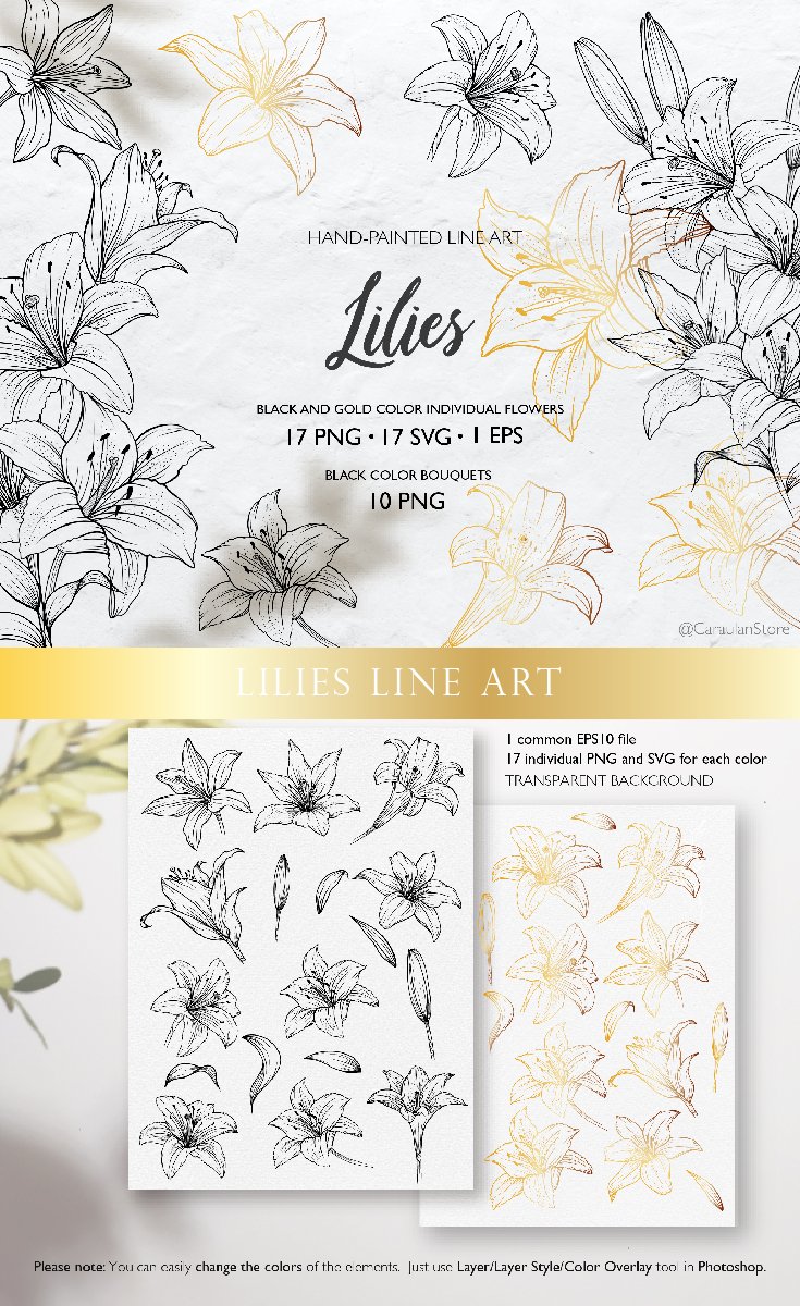 Lily Line Art SVG, Lilies SVG, Outline