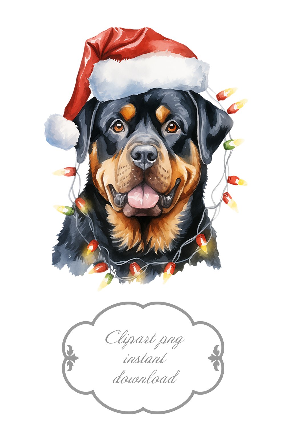 Christmas Rottweiler (2984916)
