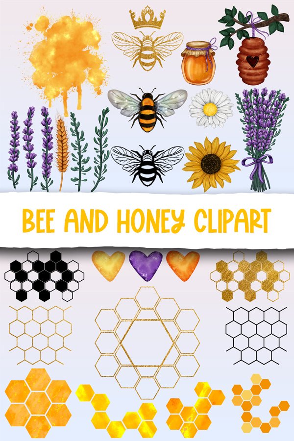 Bee and Honey clipart, 28 watercolor illustration