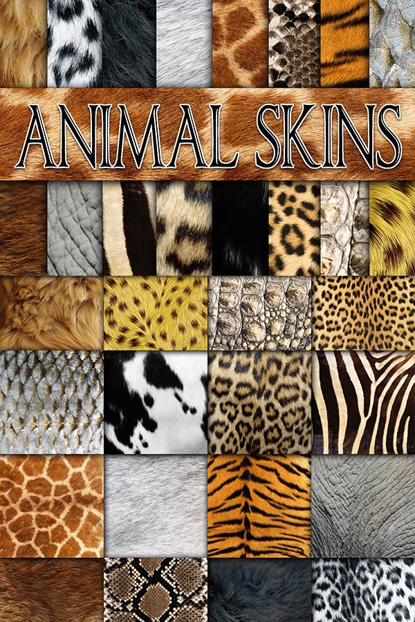 Animal Skin Textures Digital Paper (37185)