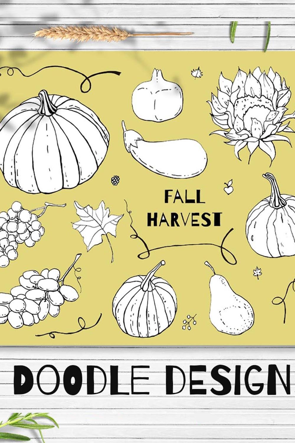 Autumn harvest doodle vector clipart for coloring. PNG, SVG