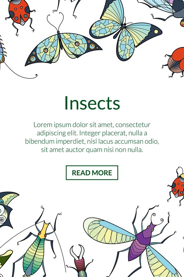 Vector hand drawn insects background with place (872774)