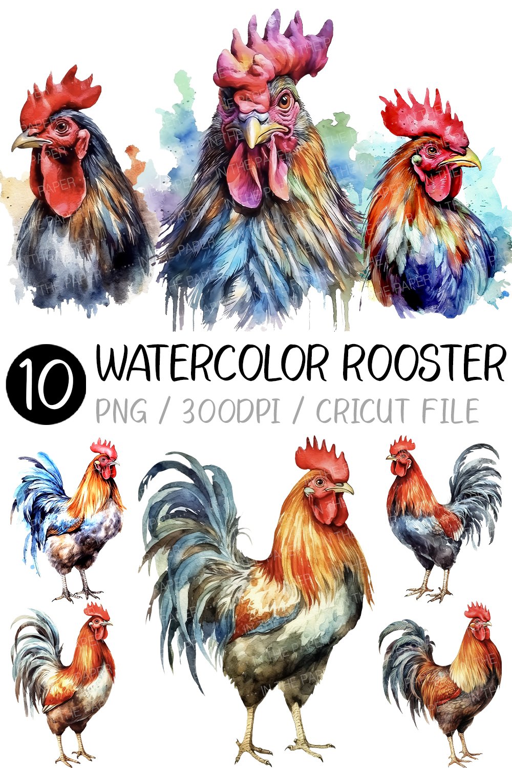Watercolor Rooster PNG | Chicken Clip Art, Hen