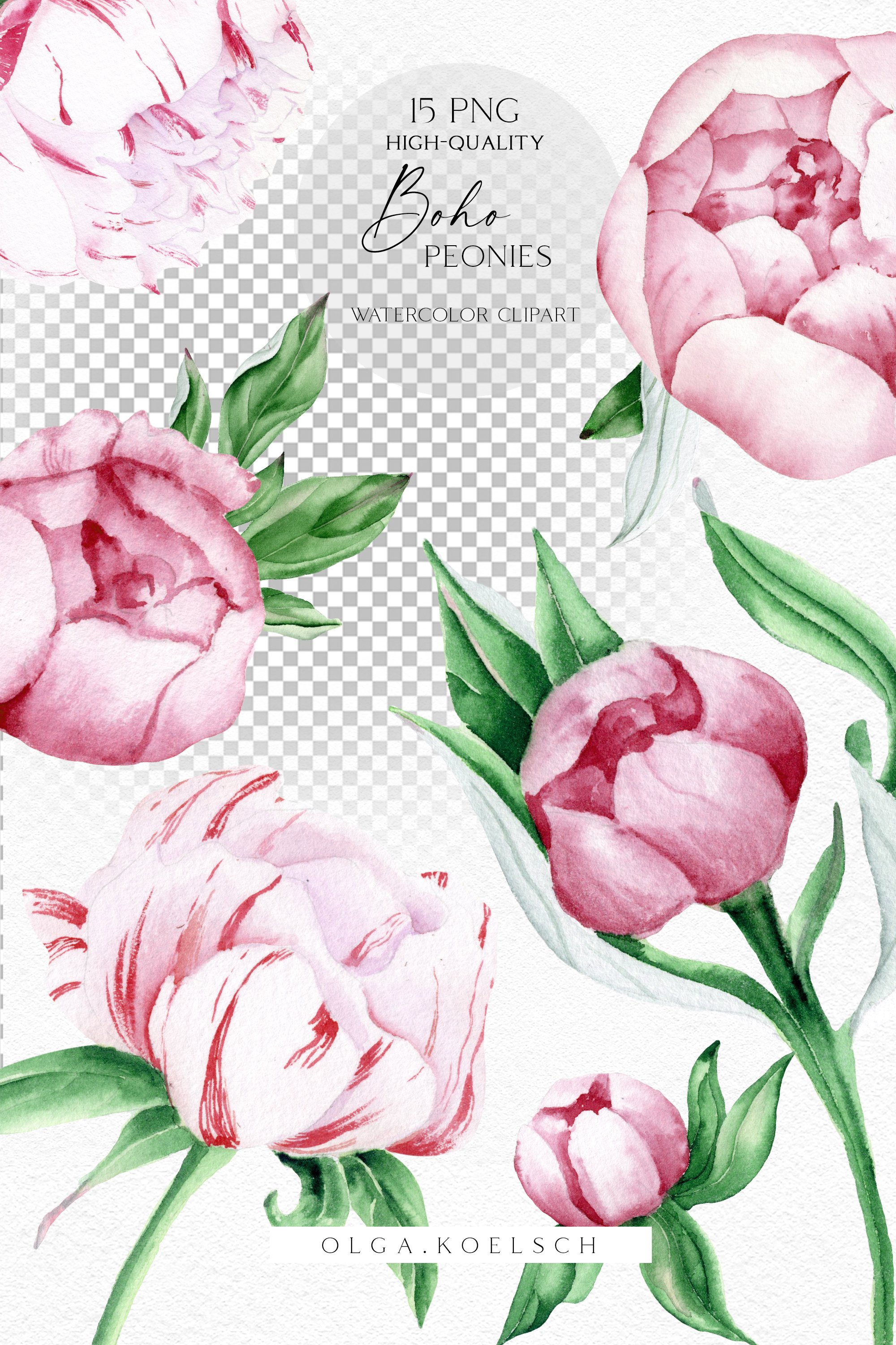 Watercolor pink peonies clipart, Watercolor boho (1287305)