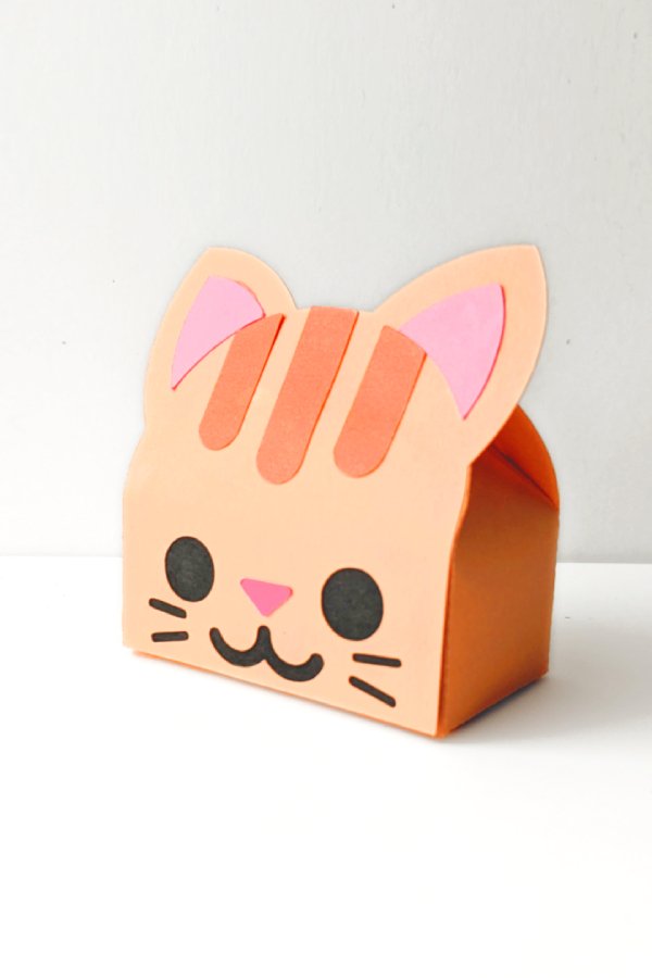 Cat Face Gift Box SVG Design