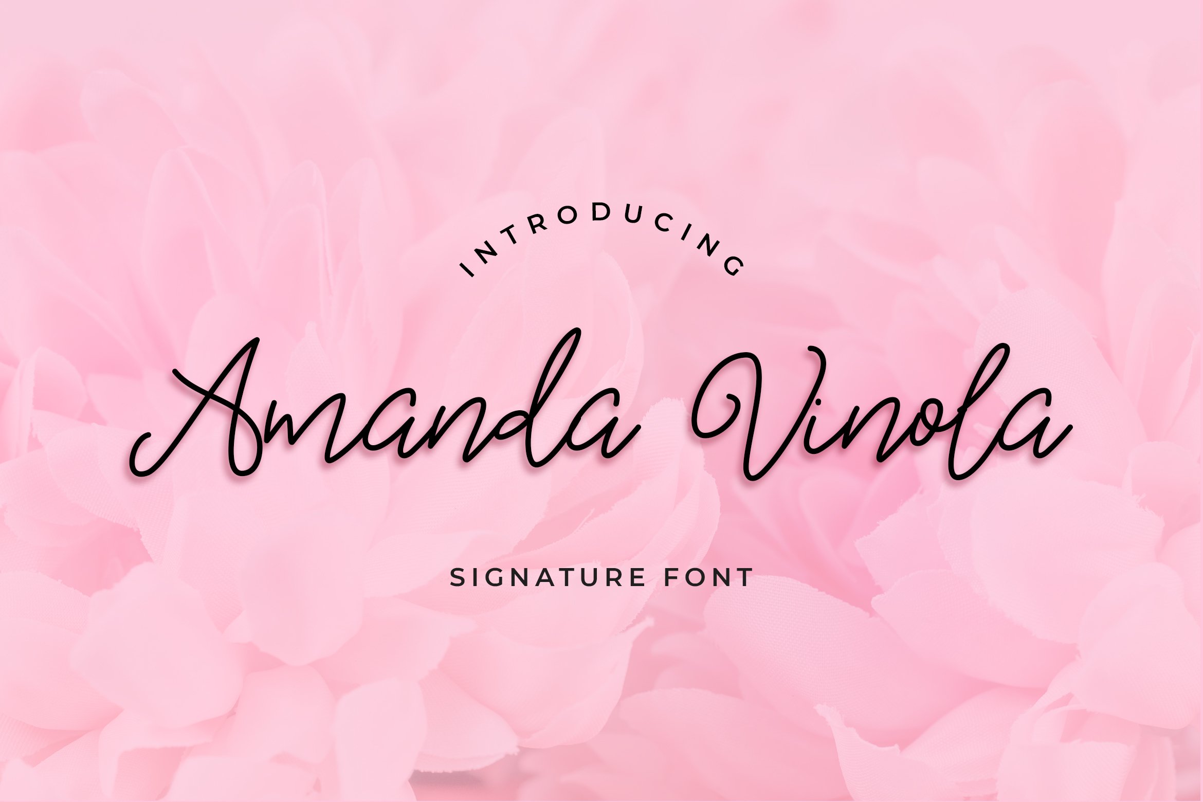 Amanda Vinola Handwritten Script Font
