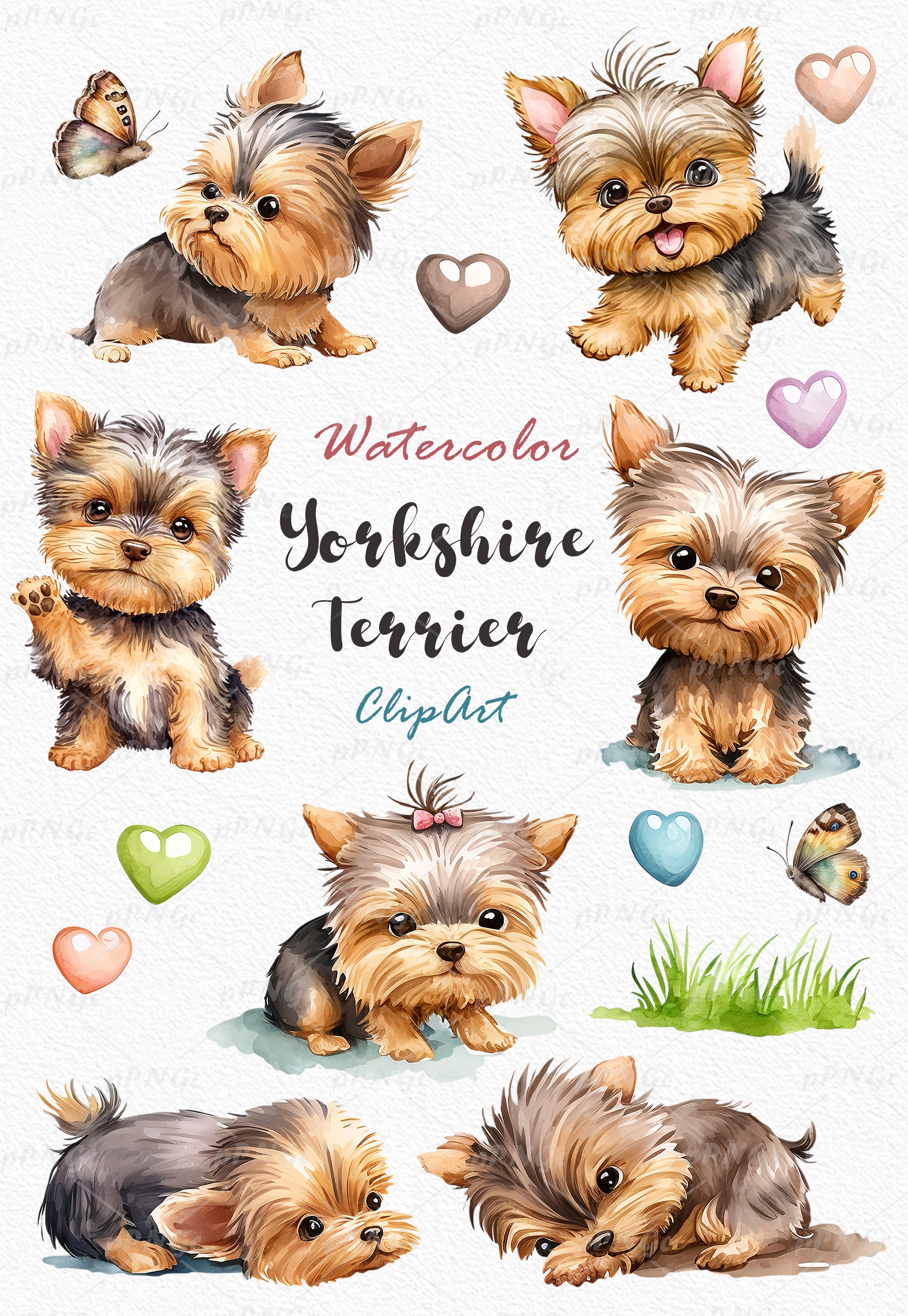 Yorkshire Terrier, Watercolor Clipart