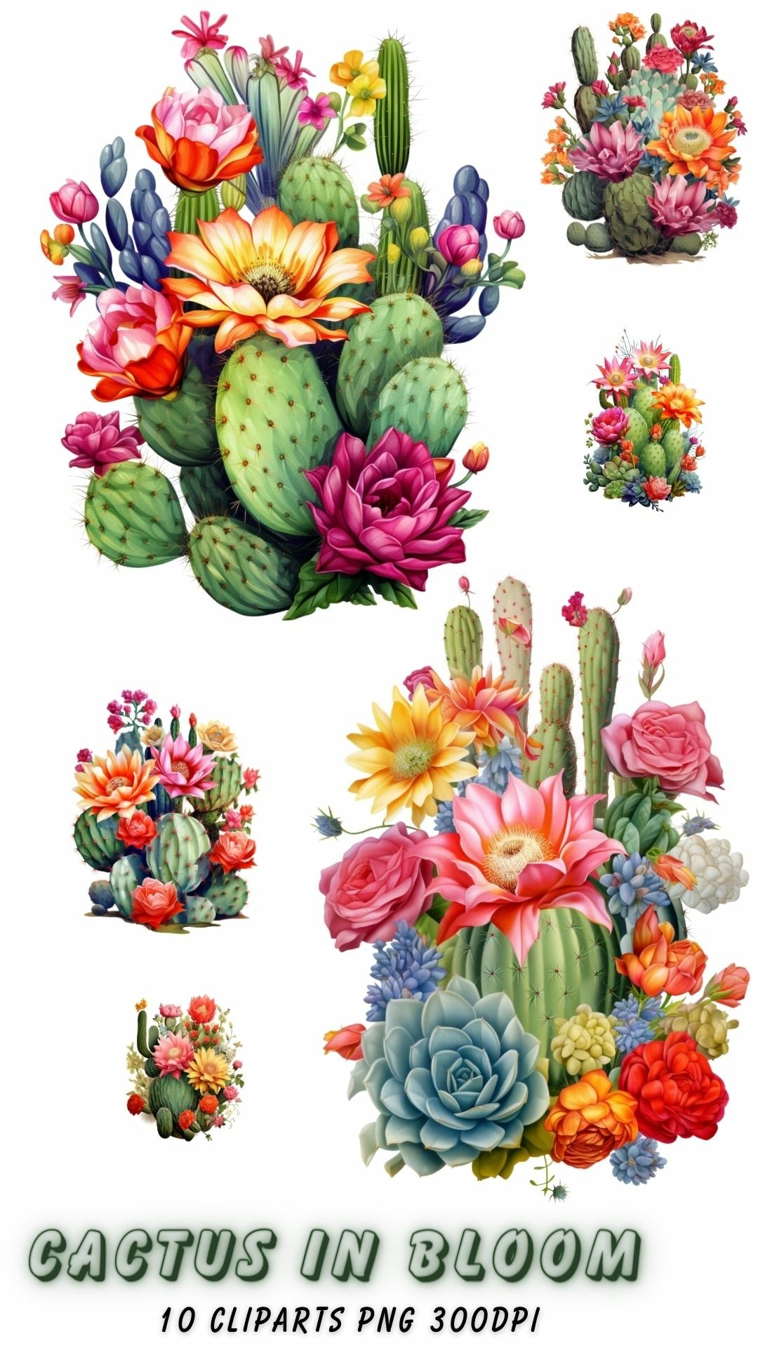 Vintage Cactus Flower Clip Art