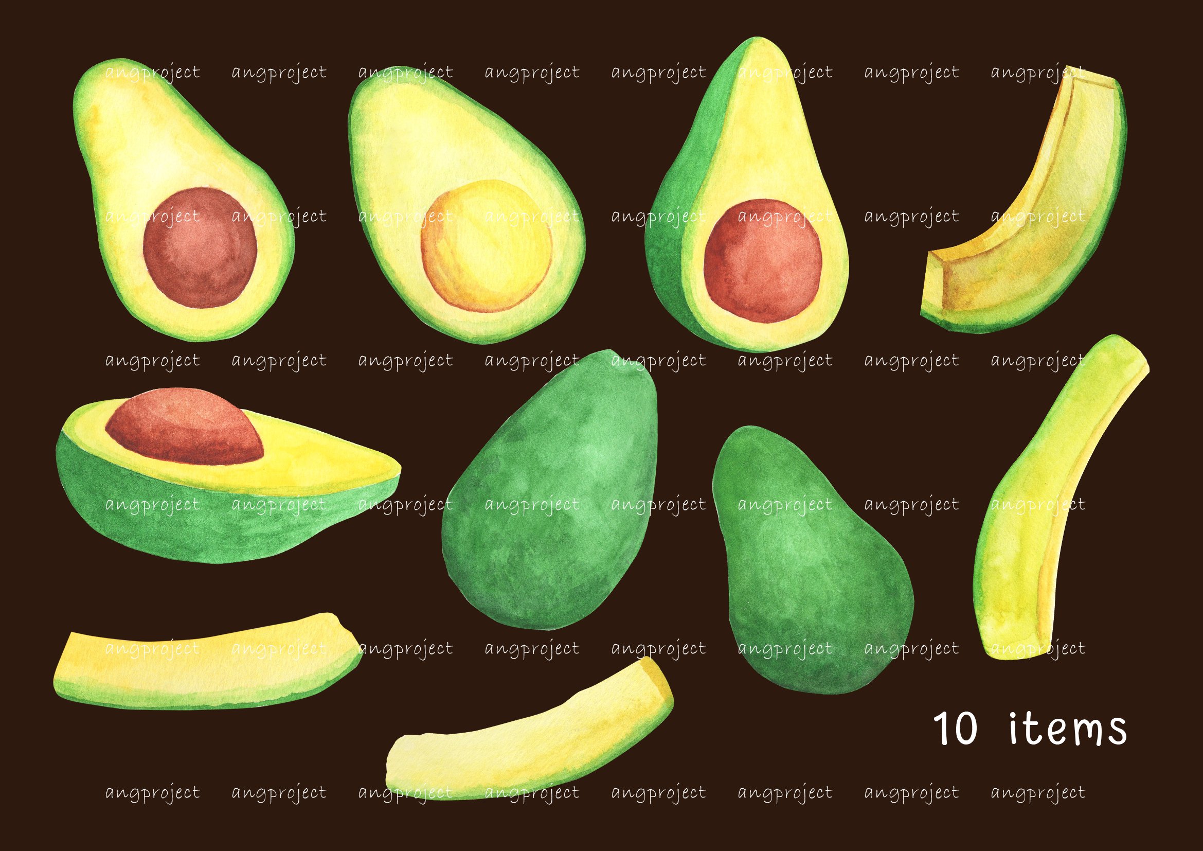 Avocado Fruit - Watercolor Clipart PNG
