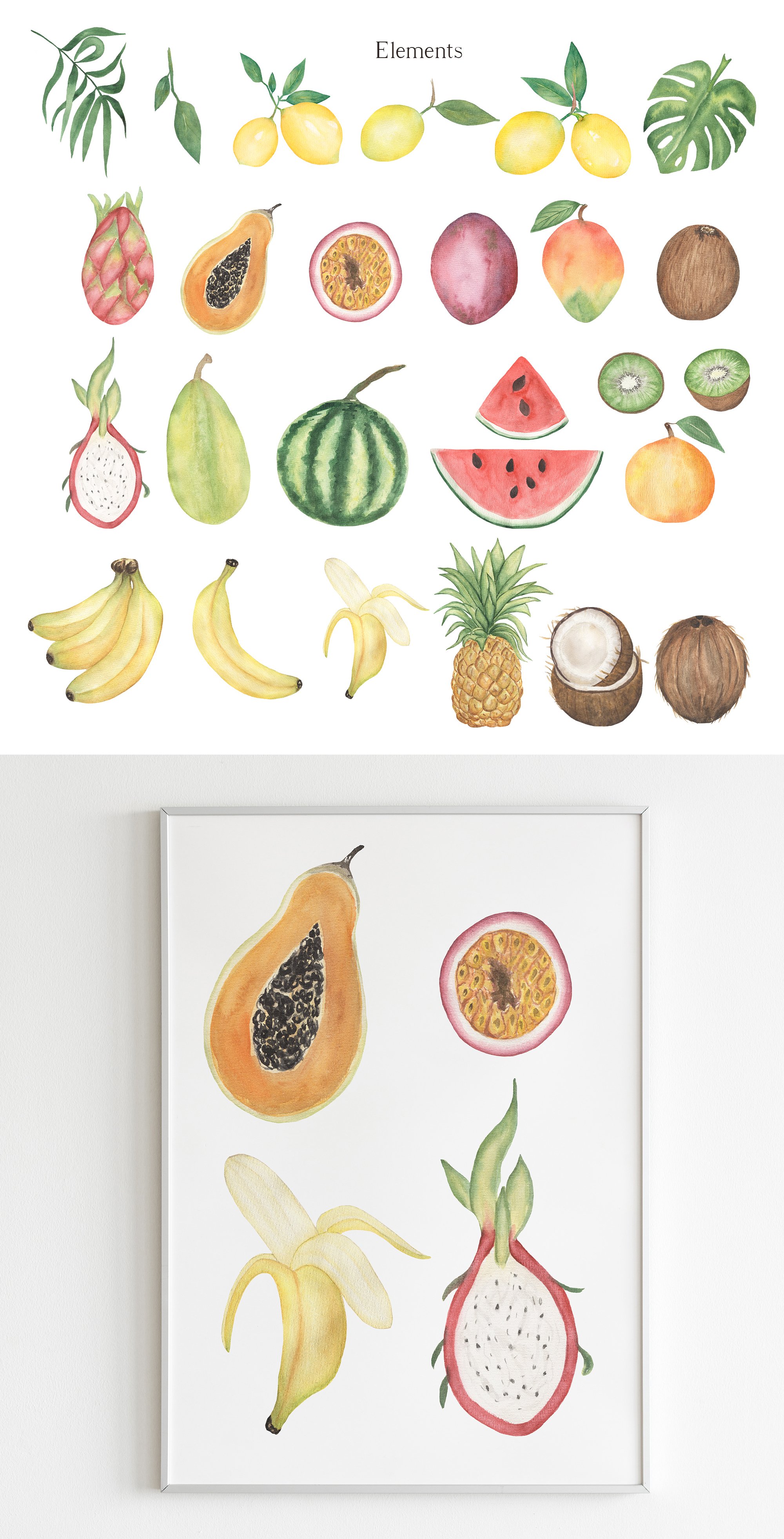 Watercolor Tropical Fruit Clipart set (1735423)