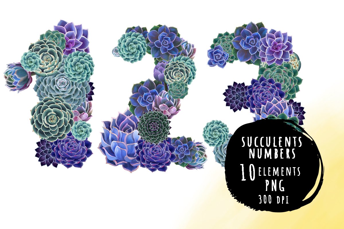 Bright succulents numbers