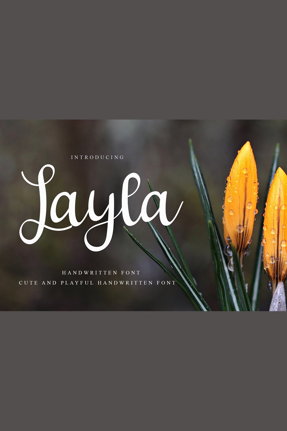 Layla (1988691)
