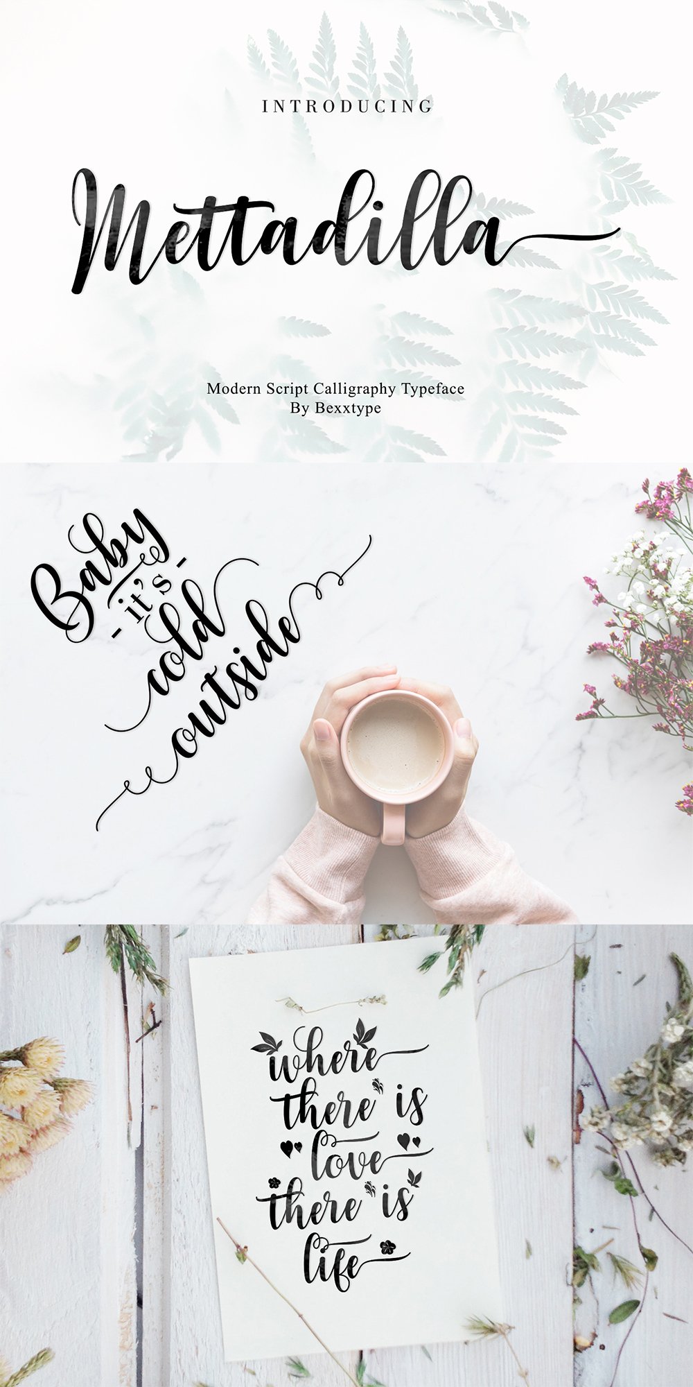 Mettadilla Script||Winter Collection (169203)