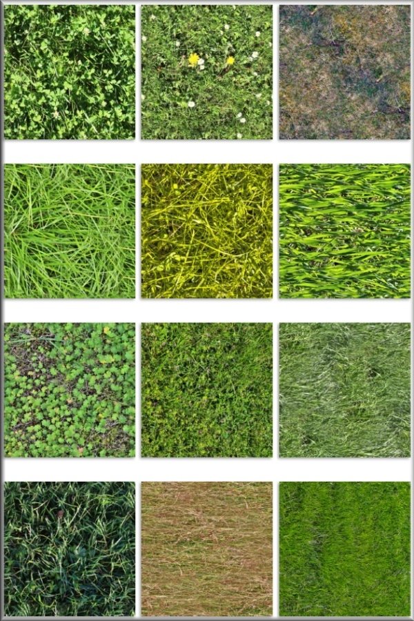12 seamless textures of grass in high resolution - (985844)