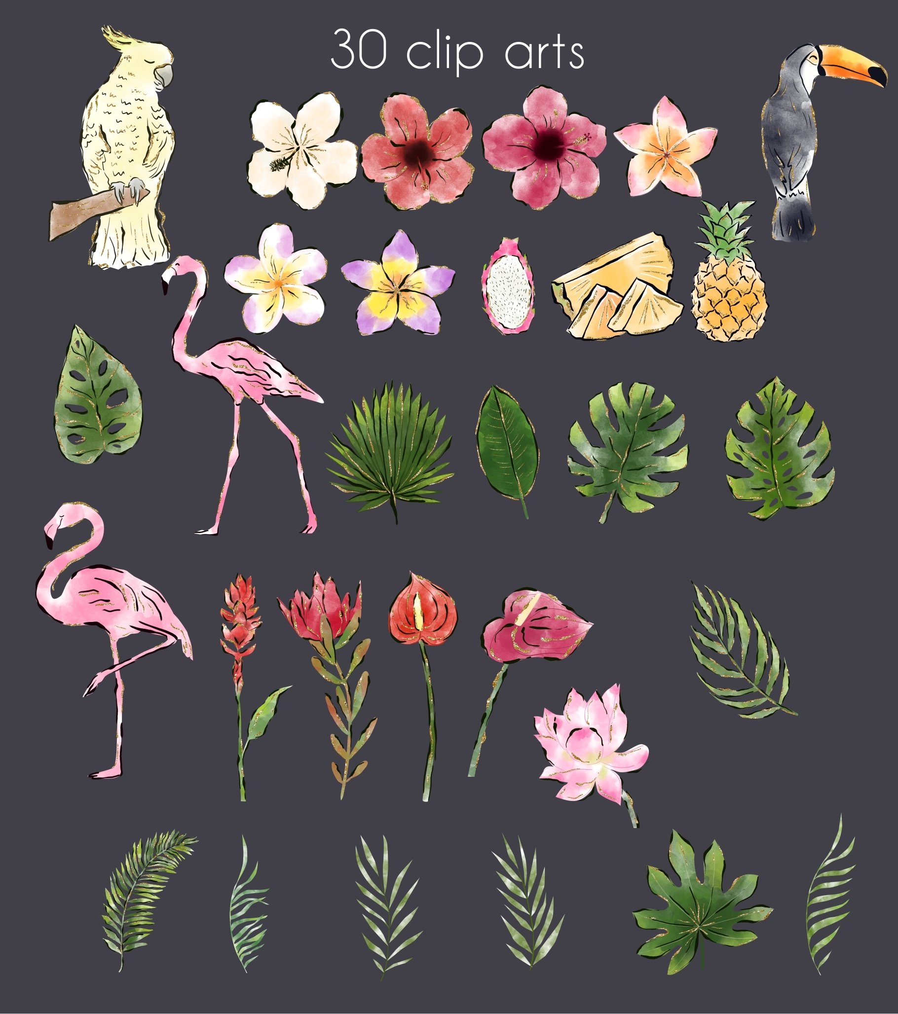 Tropical Life Watercolor Clip arts & Patterns