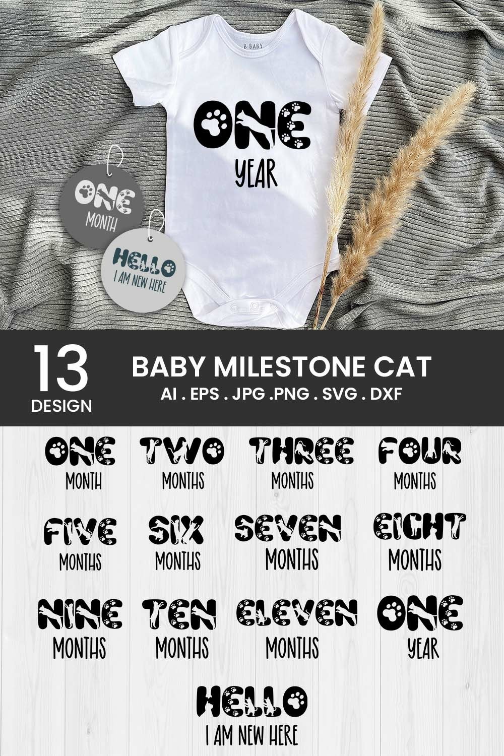 13 set Baby Milestone Cat SVG