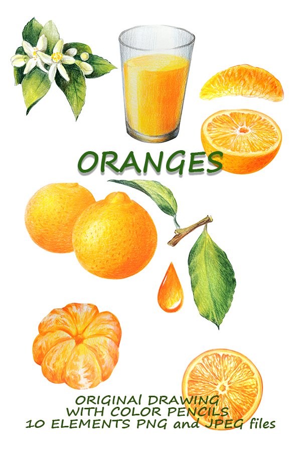 10 elements of orange citrus, hand drawn with colored pencil