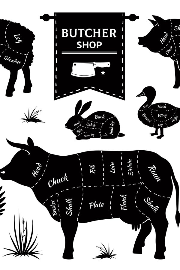 Butcher diagrams. Animal meat cuts, cow pig rabbit (1140835)