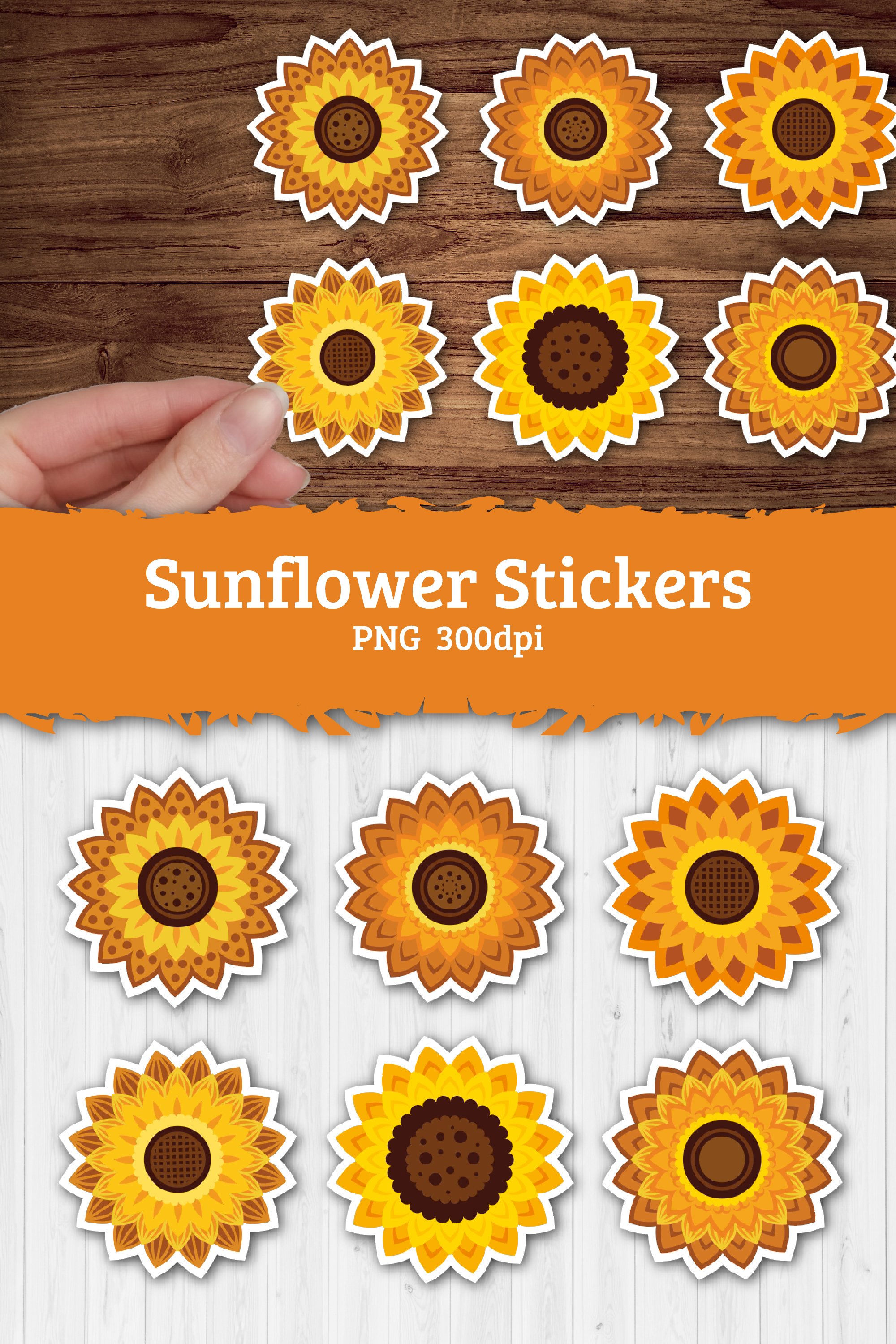 Sunflower stickers set, 6 sunflowers PNG