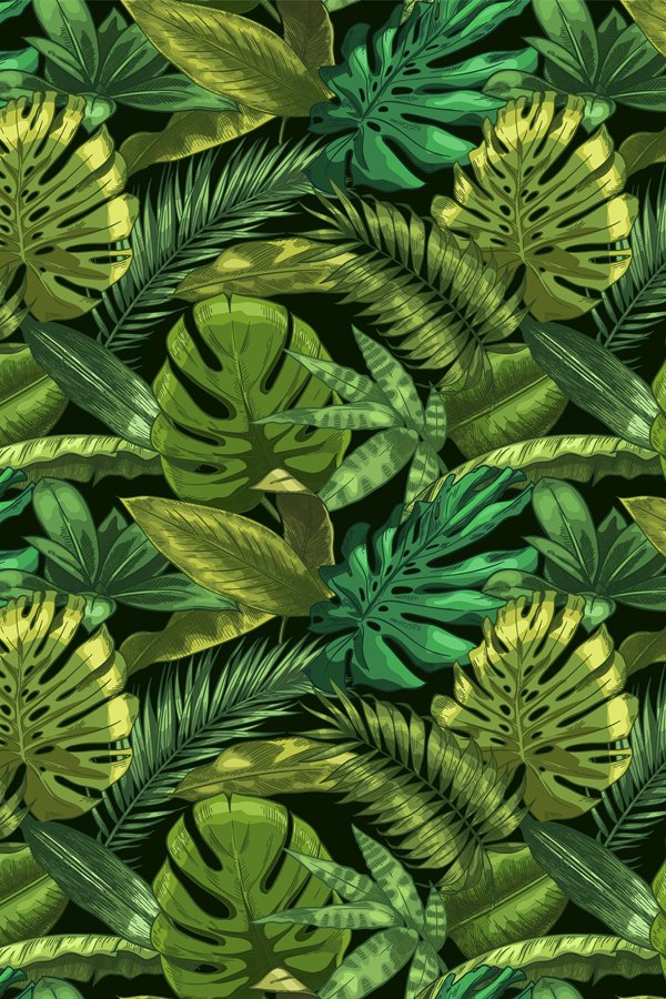 Green tropical leaves seamless pattern. Color monstera and t