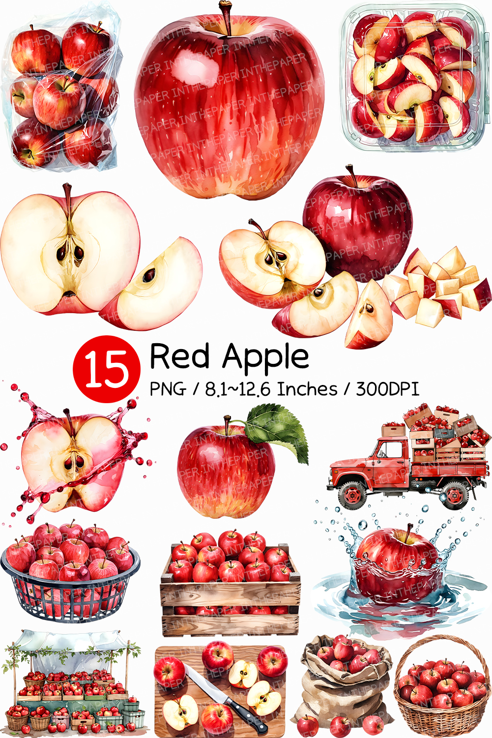 Watercolor Red Apple | Fruit Sweet Juicy Summer Fresh PNG