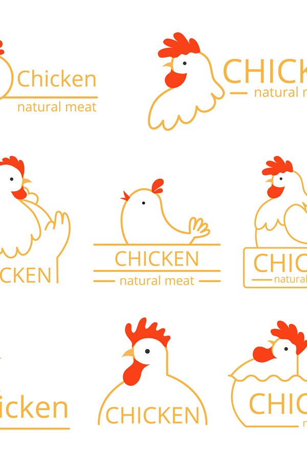Pollo logo. Design template of identity pictures with farm b