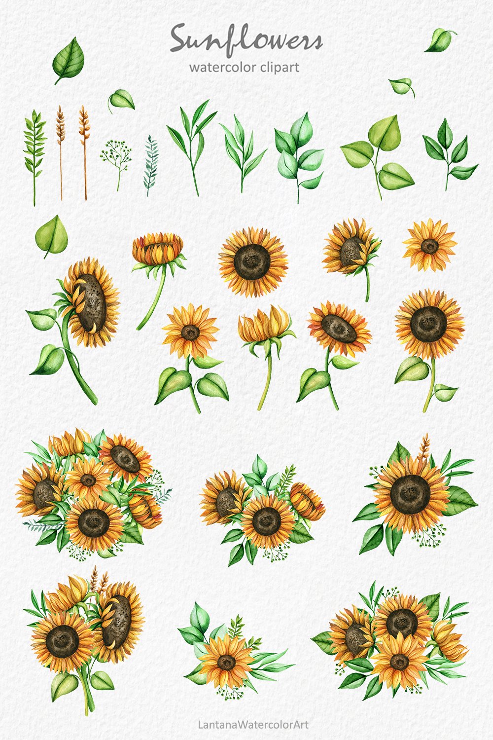Watercolor Sunflowers clipart (1910498)