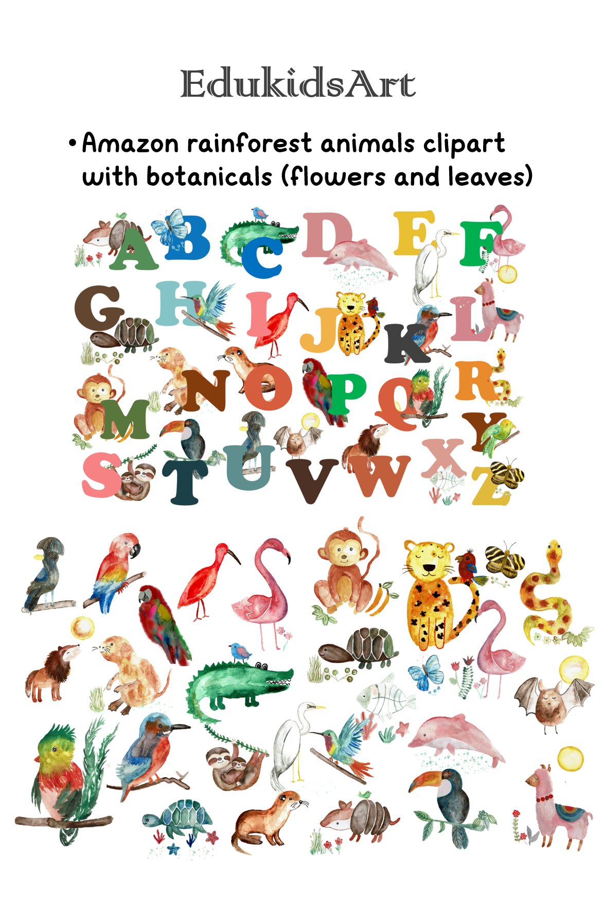 amazon rainforest animals of South America clipart A-Z