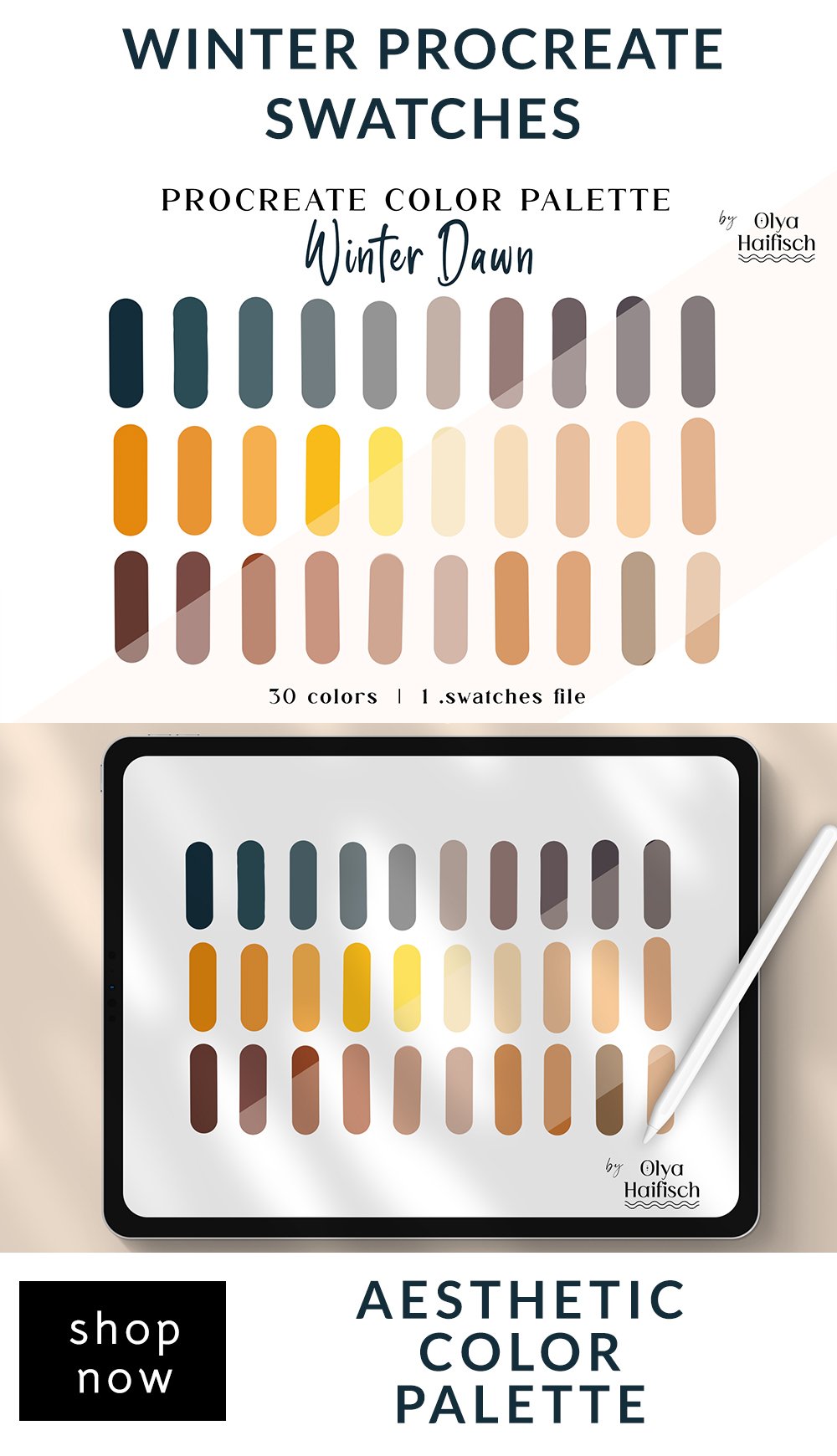 Winter Procreate Color Palette. Holiday Color Swatches