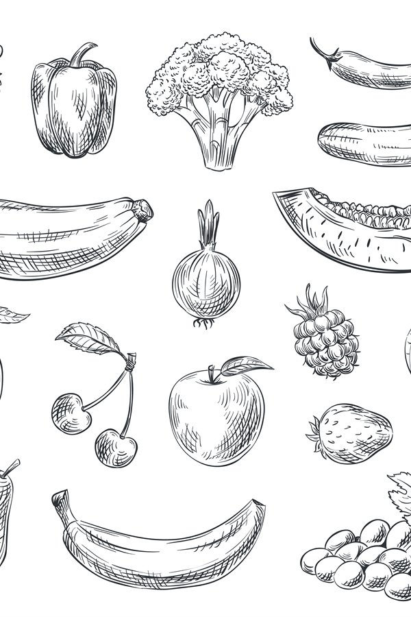 Sketched vegetables and fruits. Hand drawn organic food, eng